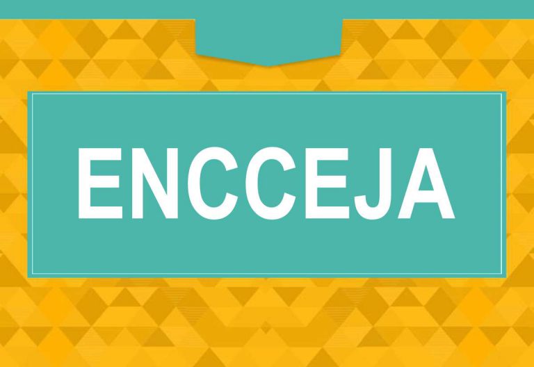 Encceja 2019: veja como consultar o Resultado