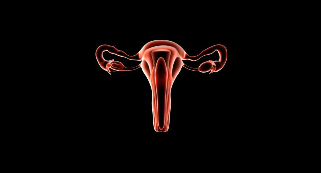 Questões sobre Sistema Reprodutor Feminino